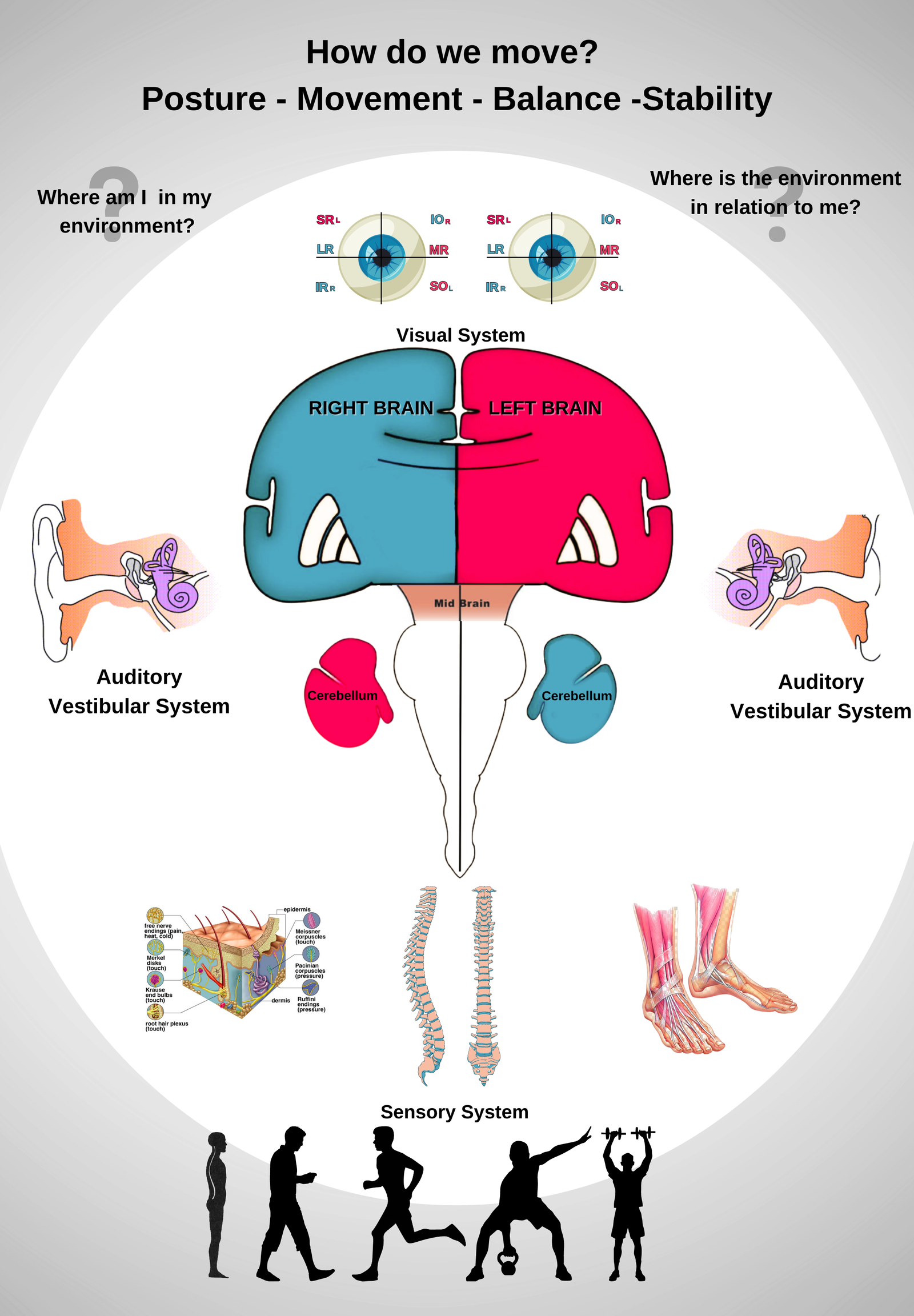 How Do We Move Poster – Posturepro EU