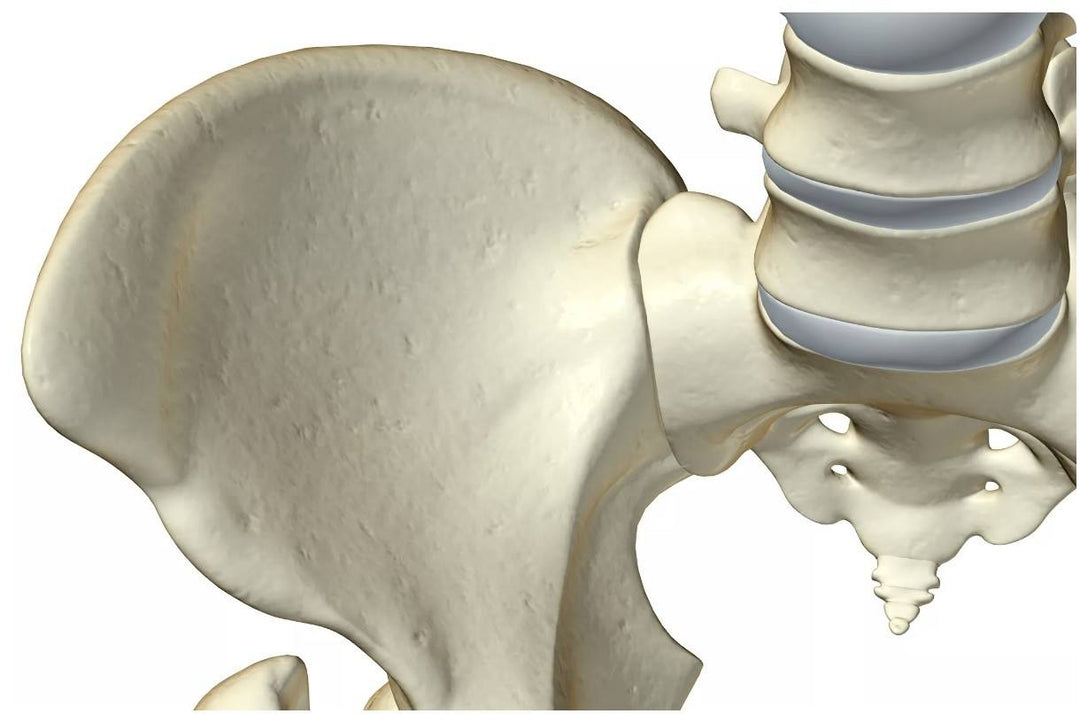 Posturepro Blog – Posturepro EU